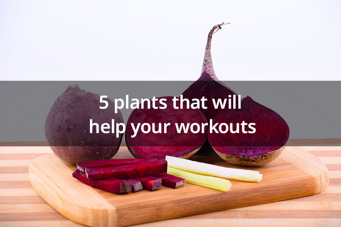 5 plants that will help your workouts – The Plant Based Podcast