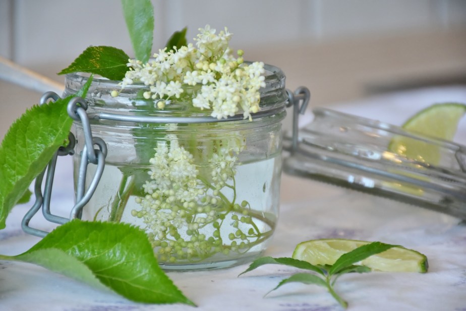 5 herbal tea blends and what they can do for you – The Plant Based Podcast