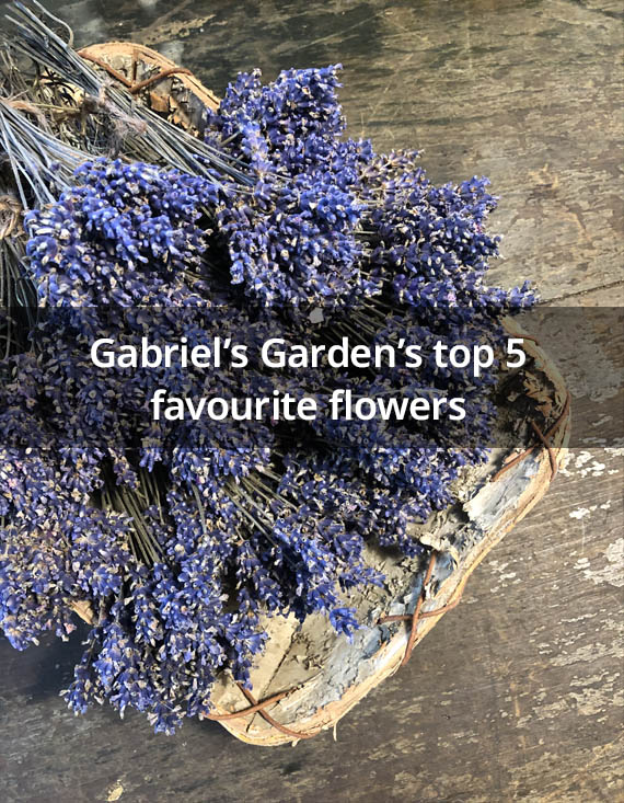 Gabriel’s Garden’s top 5 flowers – The Plant Based Podcast