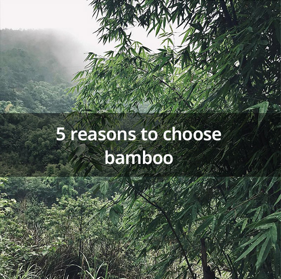 5 reasons to choose bamboo – The Plant Based Podcast